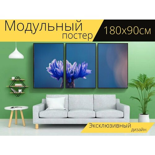 Модульный постер "Васильки, синий цветок, цветок" 180 x 90 см. для интерьера