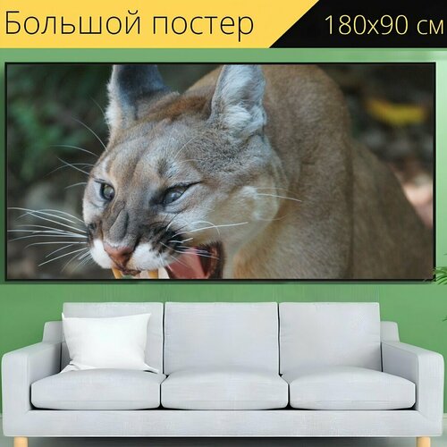 Большой постер "Млекопитающее, кошка, животное" 180 x 90 см. для интерьера