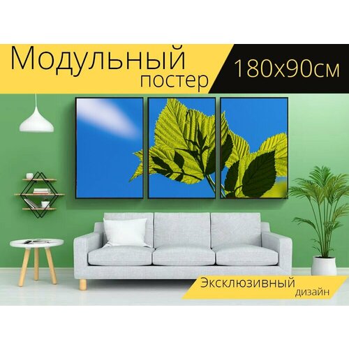 Модульный постер "Лист, зеленый, свет" 180 x 90 см. для интерьера