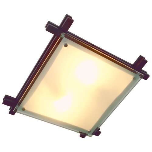 Настенно-потолочный светильник Globo Lighting Edison 48324-2, E27, 120 Вт, кол-во ламп: 2 шт., цвет арматуры: коричневый, цвет плафона: белый