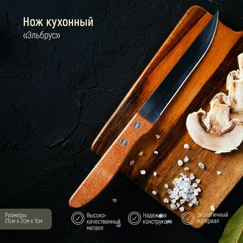 Нож кухонный Доляна Эльбрус, лезвие 11,5 см