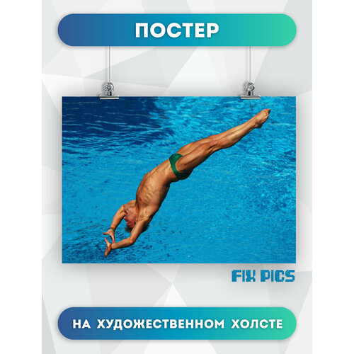 Постер на холсте Прыжки в воду (8) 30х40 см