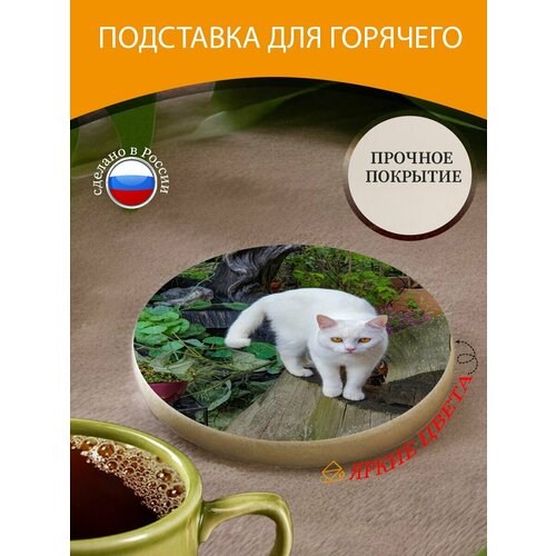 Подставка под горячее "Белый кот, британская короткошерстная кошка, красивая" 10 см. из блого мрамора