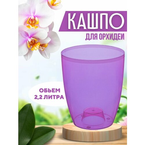 Кашпо для орхидей 2.2 л. Цвет прозрачный - фиолетовый .