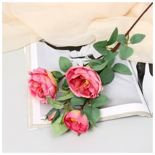 Цветы искусственные "Роза пионовидная галант" 7х61 см, розовый