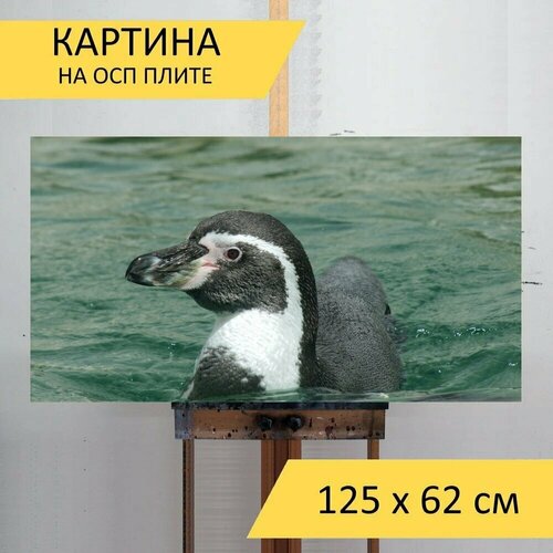 Картина на ОСП 125х62 см. "Пингвин, водное животное, плавательный" горизонтальная, для интерьера, с креплениями
