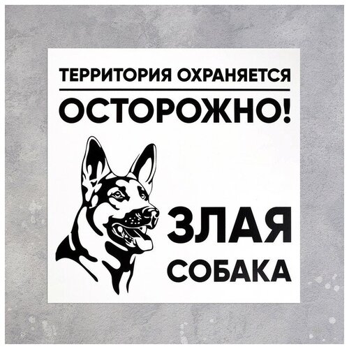 Табличка "злая собака" 100 х 100, клейкая основа