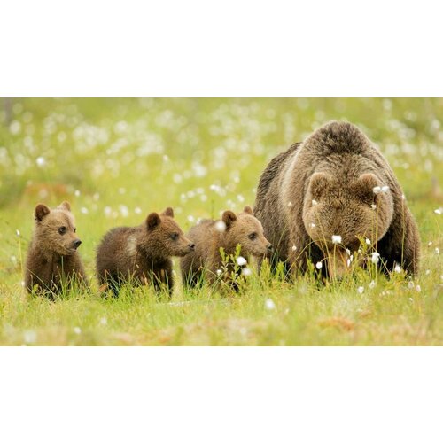 Картина на холсте 60x110 LinxOne "Медведи семья bears поляна" интерьерная для дома / на стену / на кухню / с подрамником