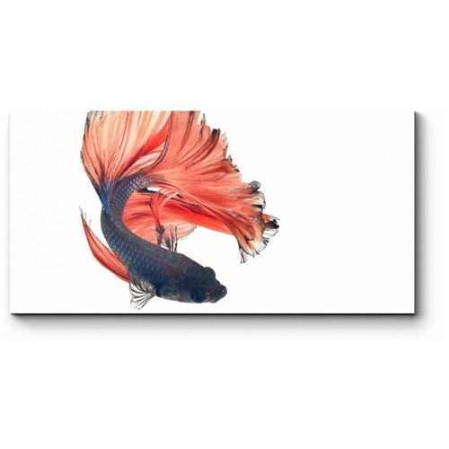 Модульная картина Роскошная рыба 40x20