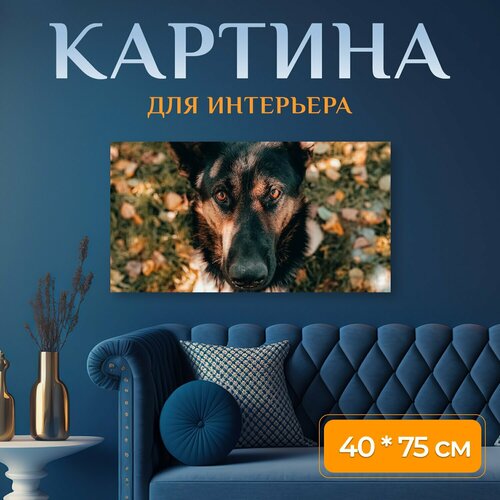 Картина на холсте "Милая собака, прекрасная собака, домашний питомец" на подрамнике 75х40 см. для интерьера