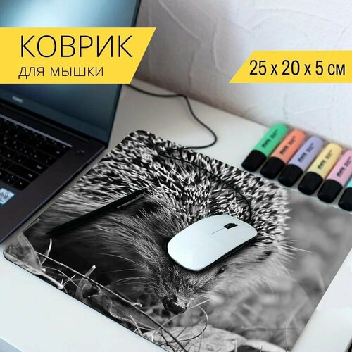Коврик для мыши с принтом "Ежик, молодой ежик, животное" 25x20см.