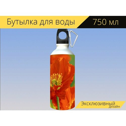 Бутылка фляга для воды "Мак, цветок, расцвел" 750 мл. с карабином и принтом