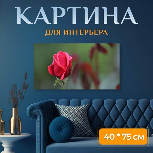 Картина на холсте "Красная роза бархат, символ любви, романтичный" на подрамнике 75х40 см. для интерьера