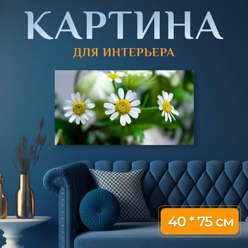 Картина на холсте "Ромашки, цветок, завод" на подрамнике 75х40 см. для интерьера