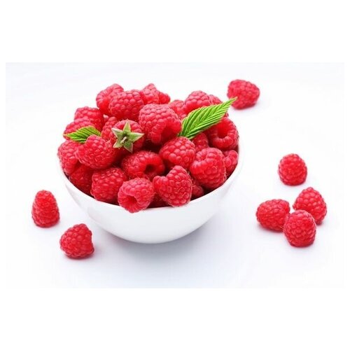 Постер на холсте Малина (Raspberry) №2 45см. x 30см.