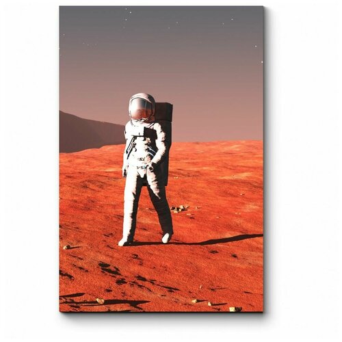 Модульная картина Прогулка по Марсу 20x30