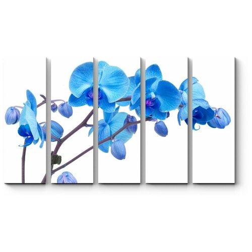 Модульная картина Орхидея небесного цвета130x78
