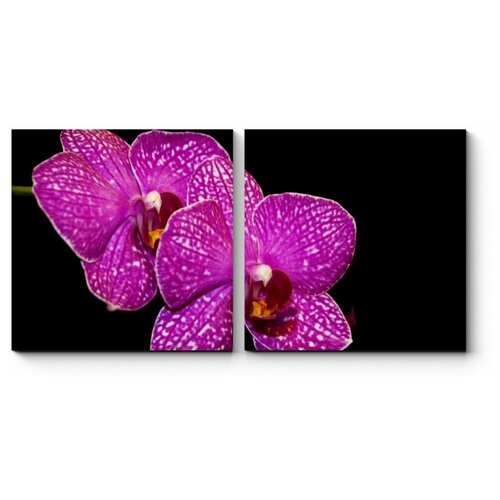 Модульная картина Тропическая орхидея 140x70
