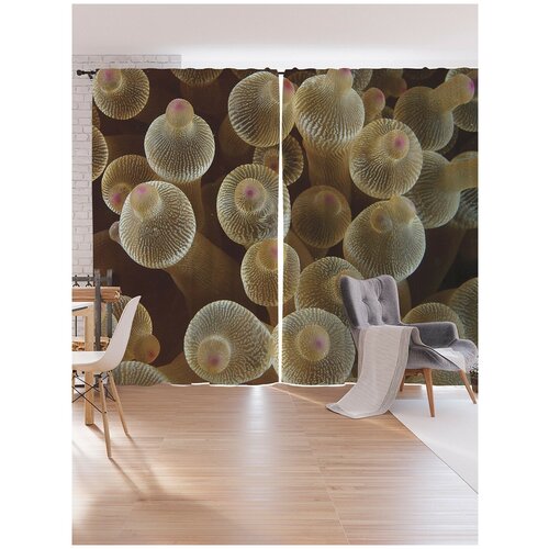 Шторы под лён JoyArty "Морские грибы", серия Oxford DeLux, 340х265 см