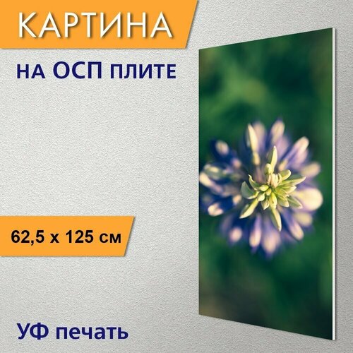 Вертикальная картина на ОСП "Люпин, цветок, природа" 62x125 см. для интерьериа