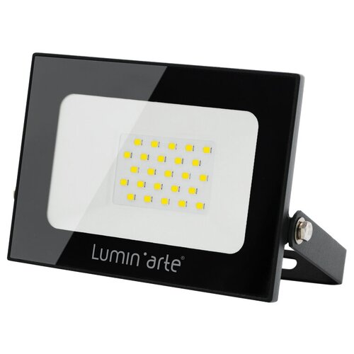 Прожектор светодиодный Lumin'Arte LFL-30W/05, 30 Вт, свет: холодный белый