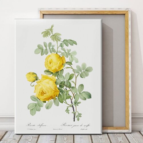 Картина на холсте 50х70 см "Желтые розы, винтажная иллюстрация", Большая картина для интерьера на стену, на подрамнике