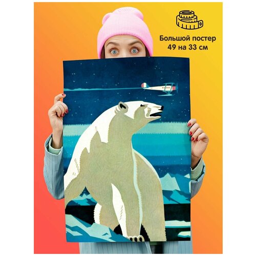 Постер Polar Bear Белый медведь