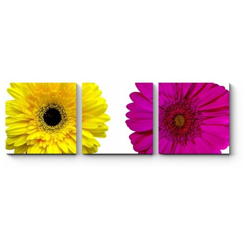 Модульная картина Насыщенность цветочных красок140x47