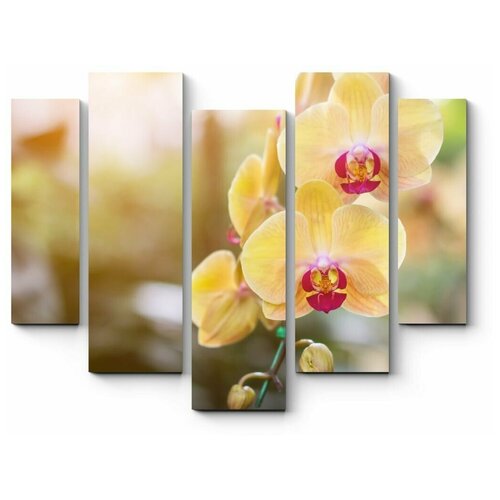 Модульная картина Чарующая орхидея 161x131