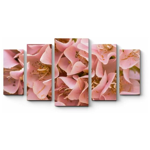 Модульная картина Розовые лепестки190x105