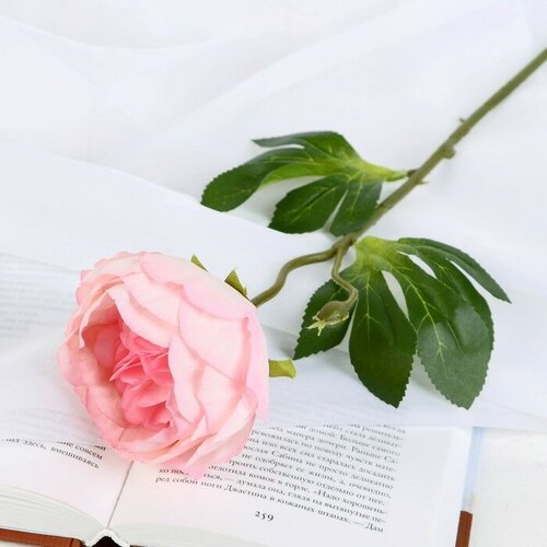 Poetry in flowers Цветы искусственные "Пышный пион" 7х47 см, розовый