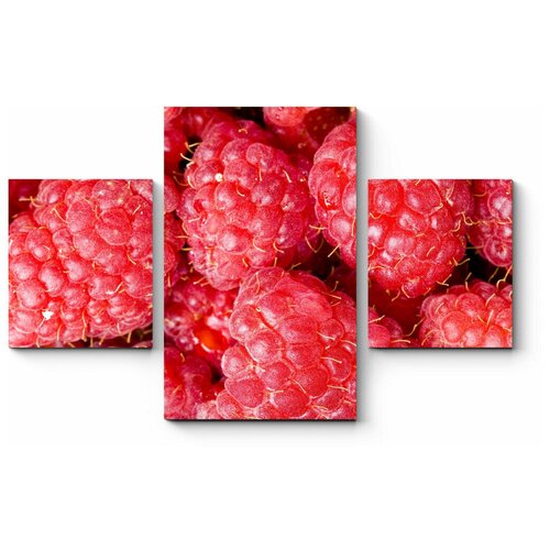 Модульная картина Крупные ягоды малины 150x98
