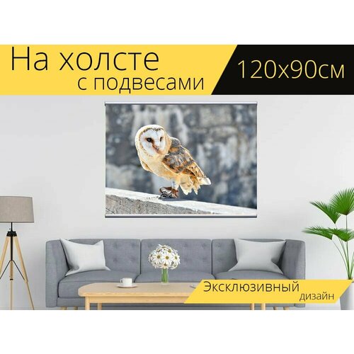 Картина на холсте "Сова, птица, животное" с подвесами 120х90 см. для интерьера