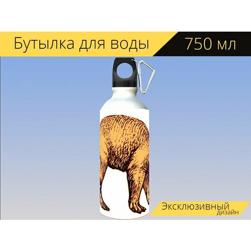Бутылка фляга для воды "Трубкозуб, африка, африканец" 750 мл. с карабином и принтом