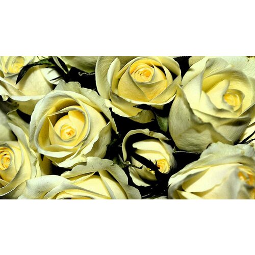 Картина на холсте 60x110 LinxOne "Желтые розы, бутоны, цветы, букет" интерьерная для дома / на стену / на кухню / с подрамником