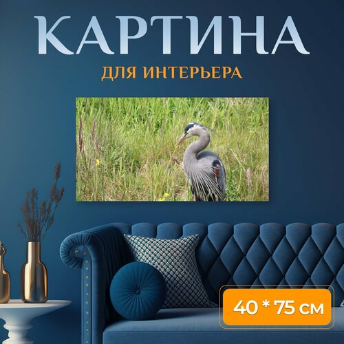 Картина на холсте "Цапля, синий, дикая природа" на подрамнике 75х40 см. для интерьера