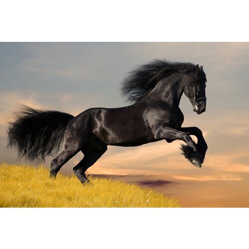 Фризская лошадь, животные картина постер 20 на 30 см, шнур-подвес в подарок