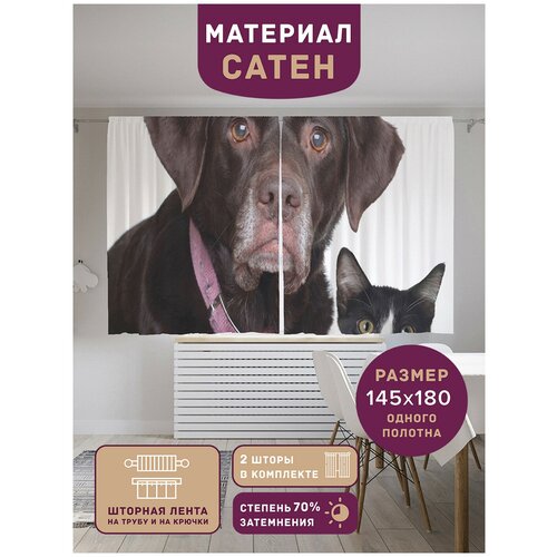 Шторы, фотошторы короткие JoyArty "Собака и кот" из ткани сатен, 2 полотна 145x180 см, шторная лента и крючки