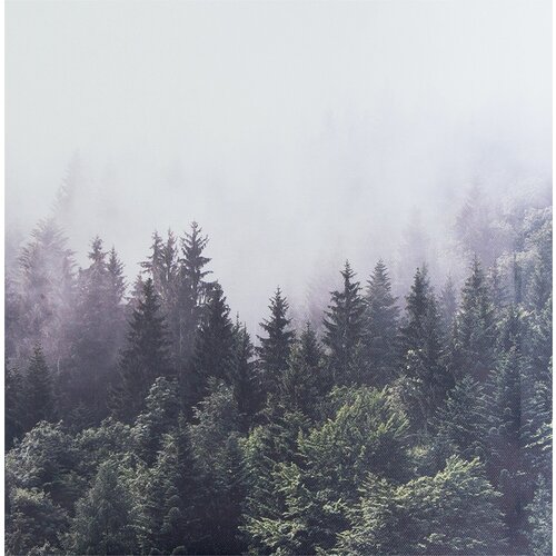 Картина на холсте Туманный лес 30x30 см