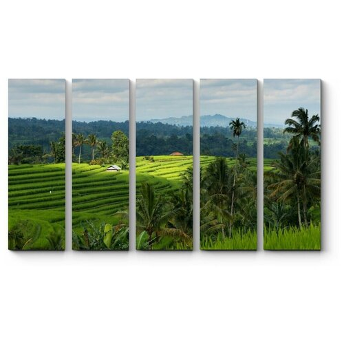 Модульная картина Бали, рисовые поля 110x66