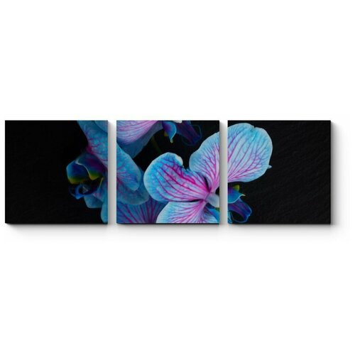 Модульная картина Голубая орхидея170x57