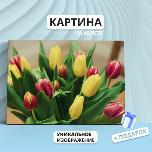 Картина на холсте Цветы тюльпаны весна (2) 20х30