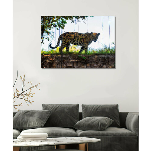 Картина/Ягур/Ягуар в джунглях/Ягуар на дереве/Черный ягуар/ - Ягуар (38) 40х60