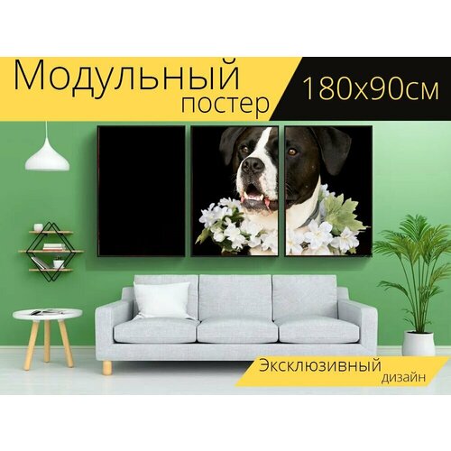 Модульный постер "Собака, цветочный венок, цветок" 180 x 90 см. для интерьера