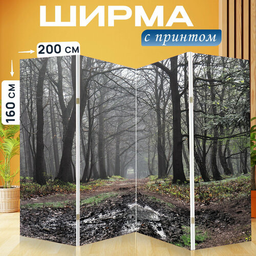 Ширма перегородка с принтом "Лесная тропа, весна, деревья" на холсте - 200x160 см. для зонирования, раскладная