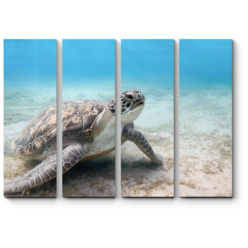 Модульная картина Чарующая подводная черепаха 60x45