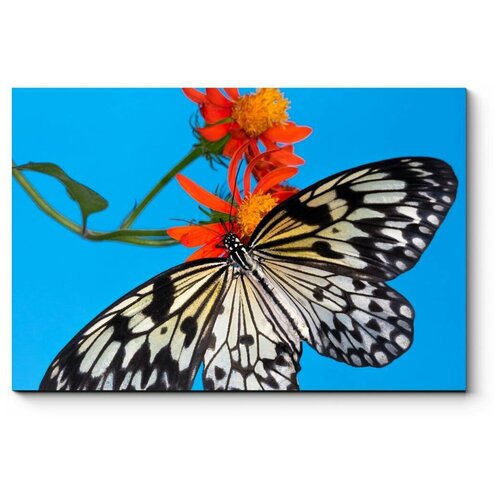 Модульная картина Бабочка на алом бутоне 140x93