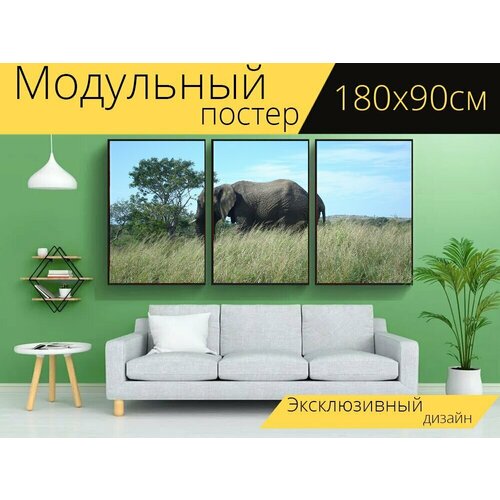 Модульный постер "Слон, юг, африка" 180 x 90 см. для интерьера