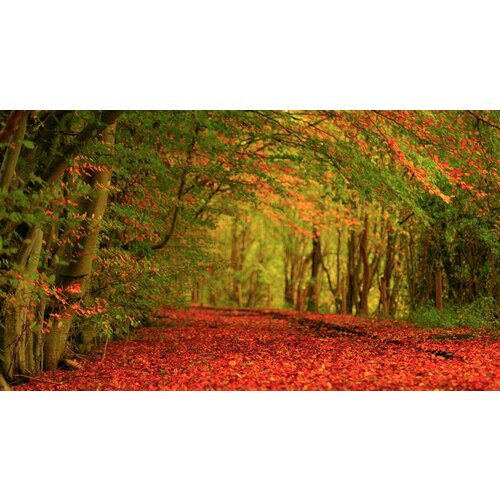 Картина на холсте 110x60 LinxOne "Ковер листва осень Природа деревья" интерьерная для дома / на стену / на кухню / с подрамником
