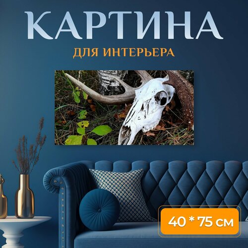 Картина на холсте "Олень, череп, рога" на подрамнике 75х40 см. для интерьера